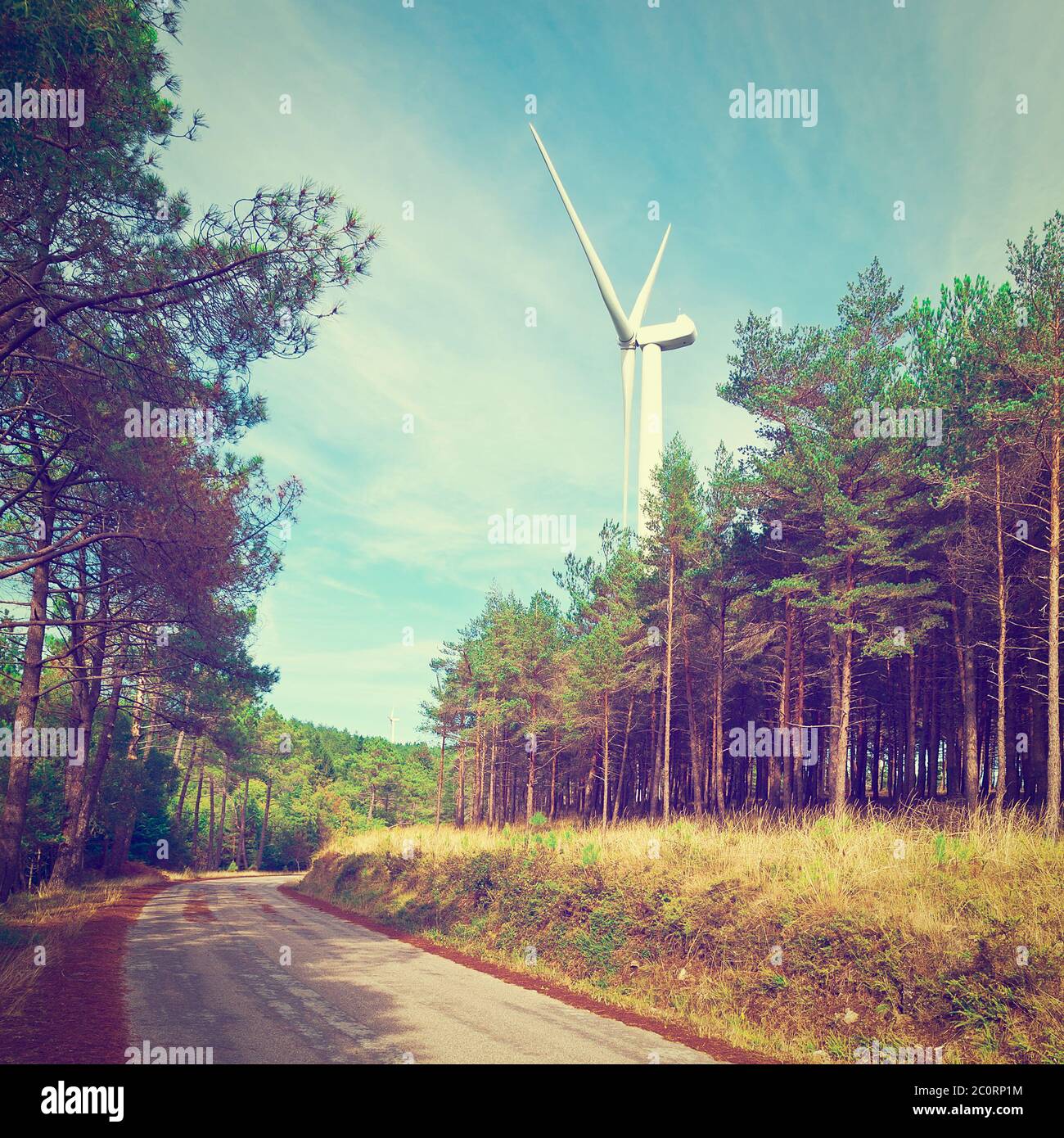 Forest Road Stock Photo - Alamy