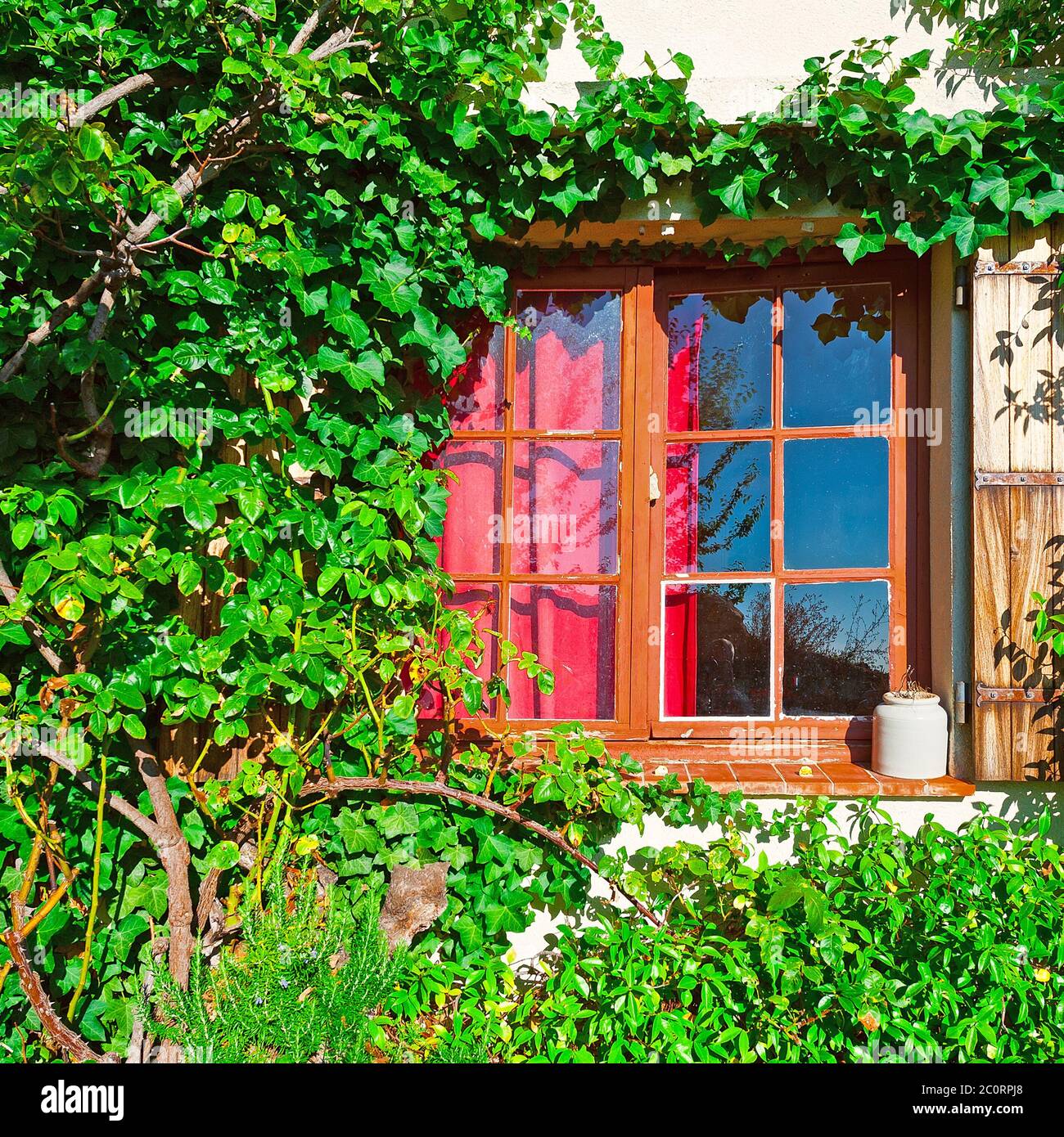 Decorated leaves window hi-res stock photography and images - Alamy