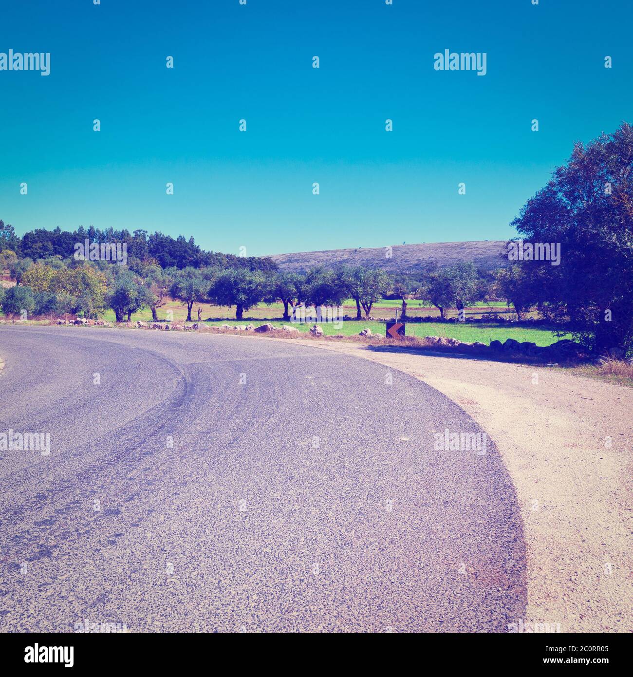 Country asphalt road olive hi-res stock photography and images - Alamy