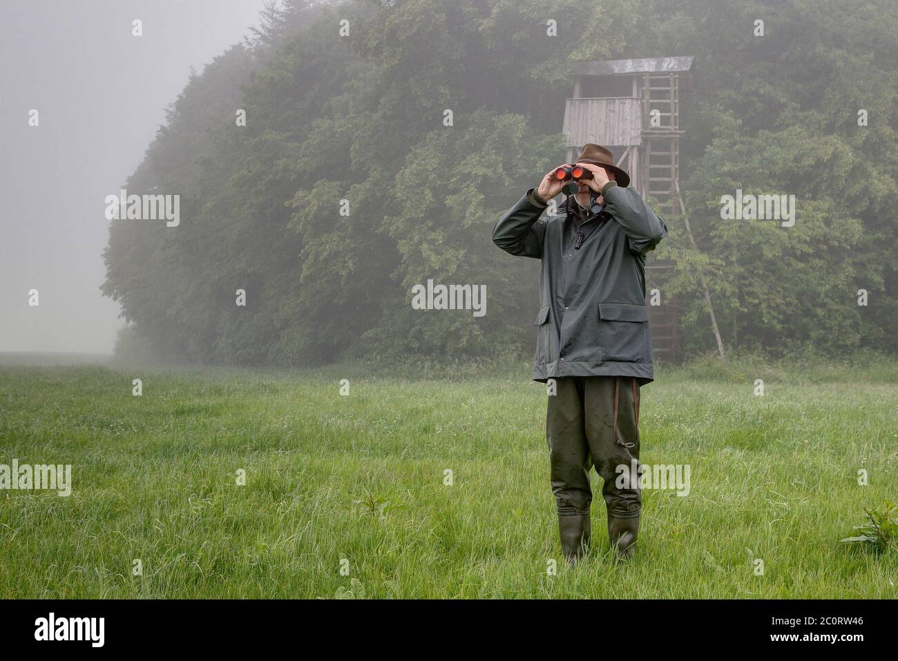 On a rainy day a hunter stands in front of the hunting pulpit in the ...