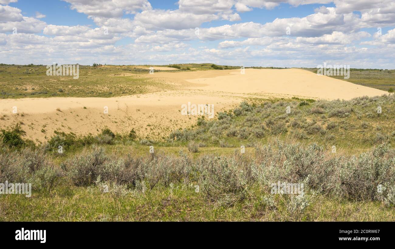 Landscape of the Great Sandhills near the town of Leader, Saskatchewan ...