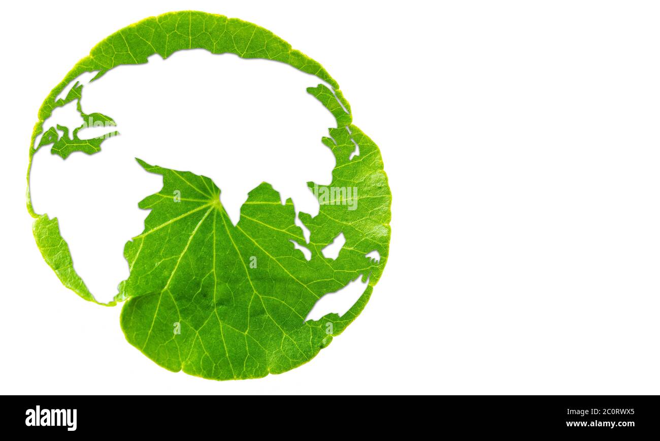 white world map eastern side on circle green leave and white background ...