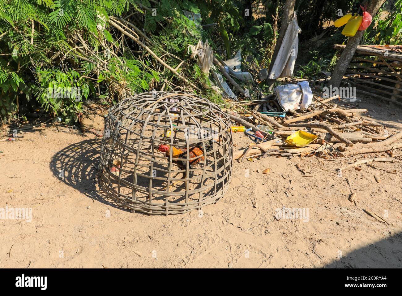 A hen or chicken in a wicker basket in a small village close to the ...