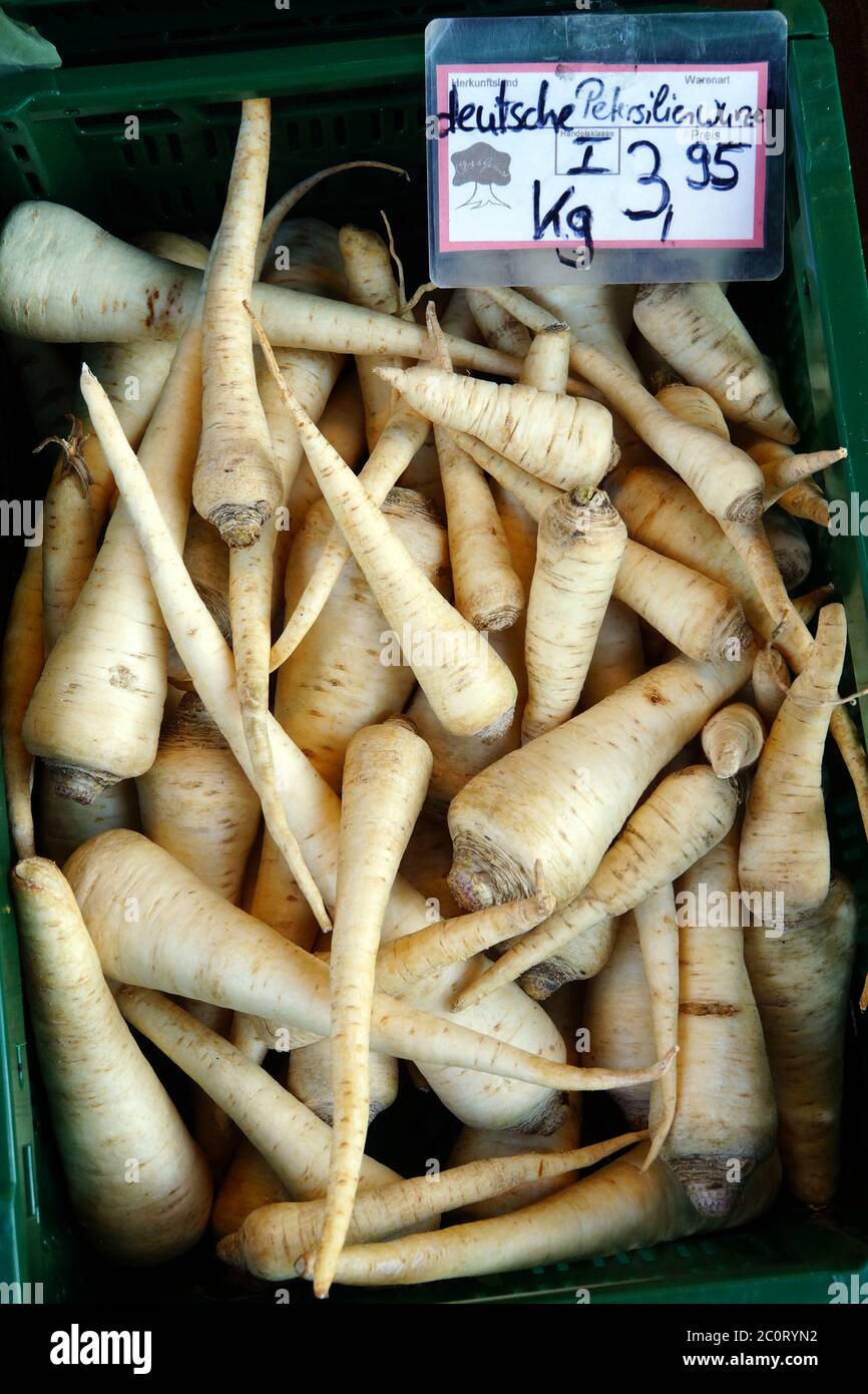 German vegetables on the market - parsley roots Stock Photo - Alamy