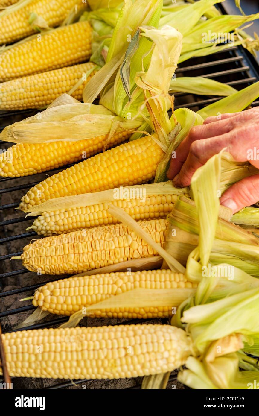 Grilling corn on the cob in husks over hot charcoal Stock Photo - Alamy
