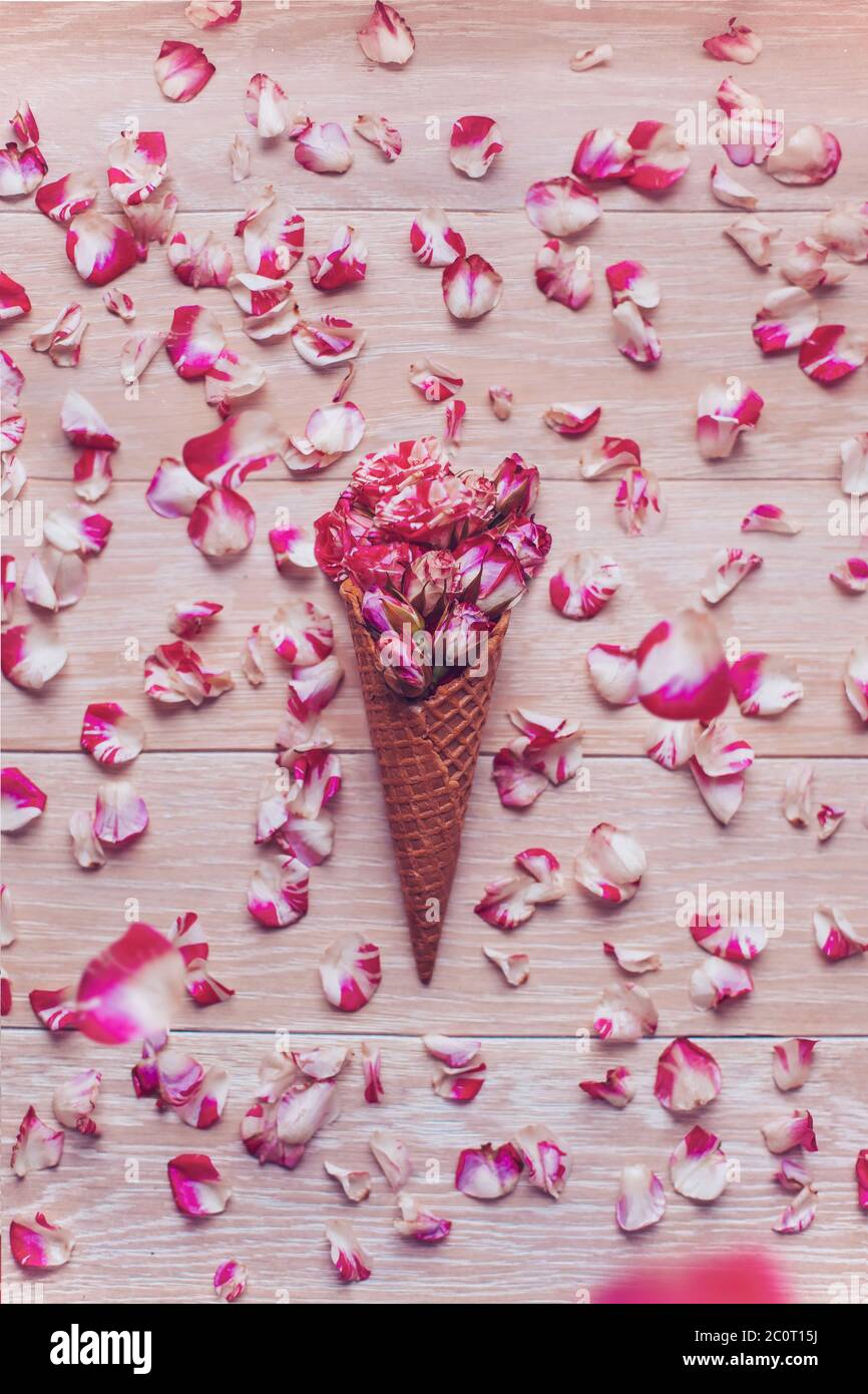 Creative object hi-res stock photography and images - Alamy