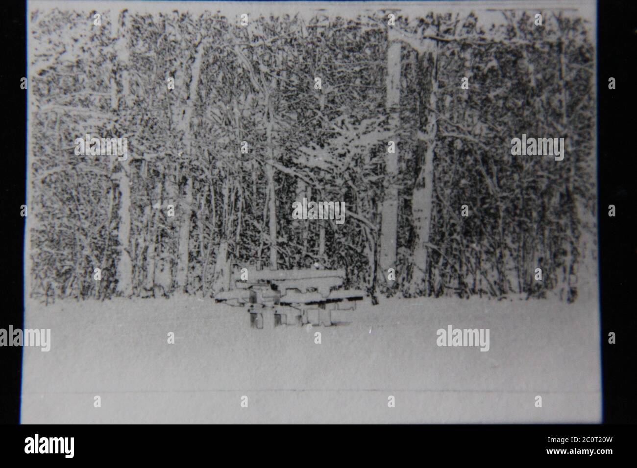 Fine 1970s vintage black and white photography of the beauty of nature ...