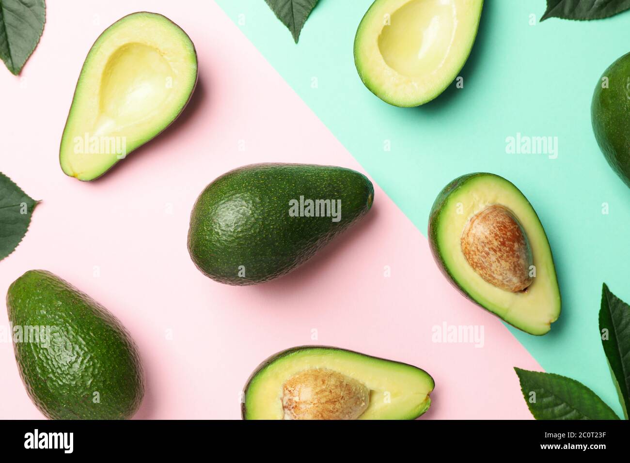 Flat lay with avocado and leaves on two tone background, top view Stock ...