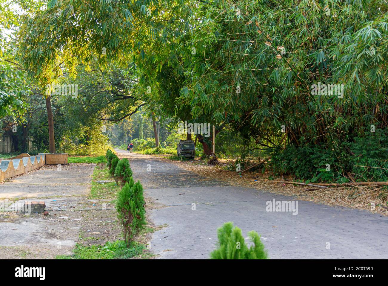 Walkway through the Acharya Jagadish Chandra Bose Indian Botanic Garden of Shibpur, Howrah near ...