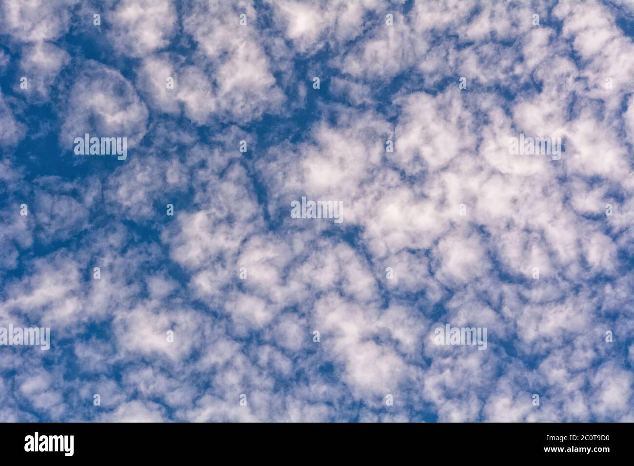 sky background with a tiny clouds Stock Photo - Alamy