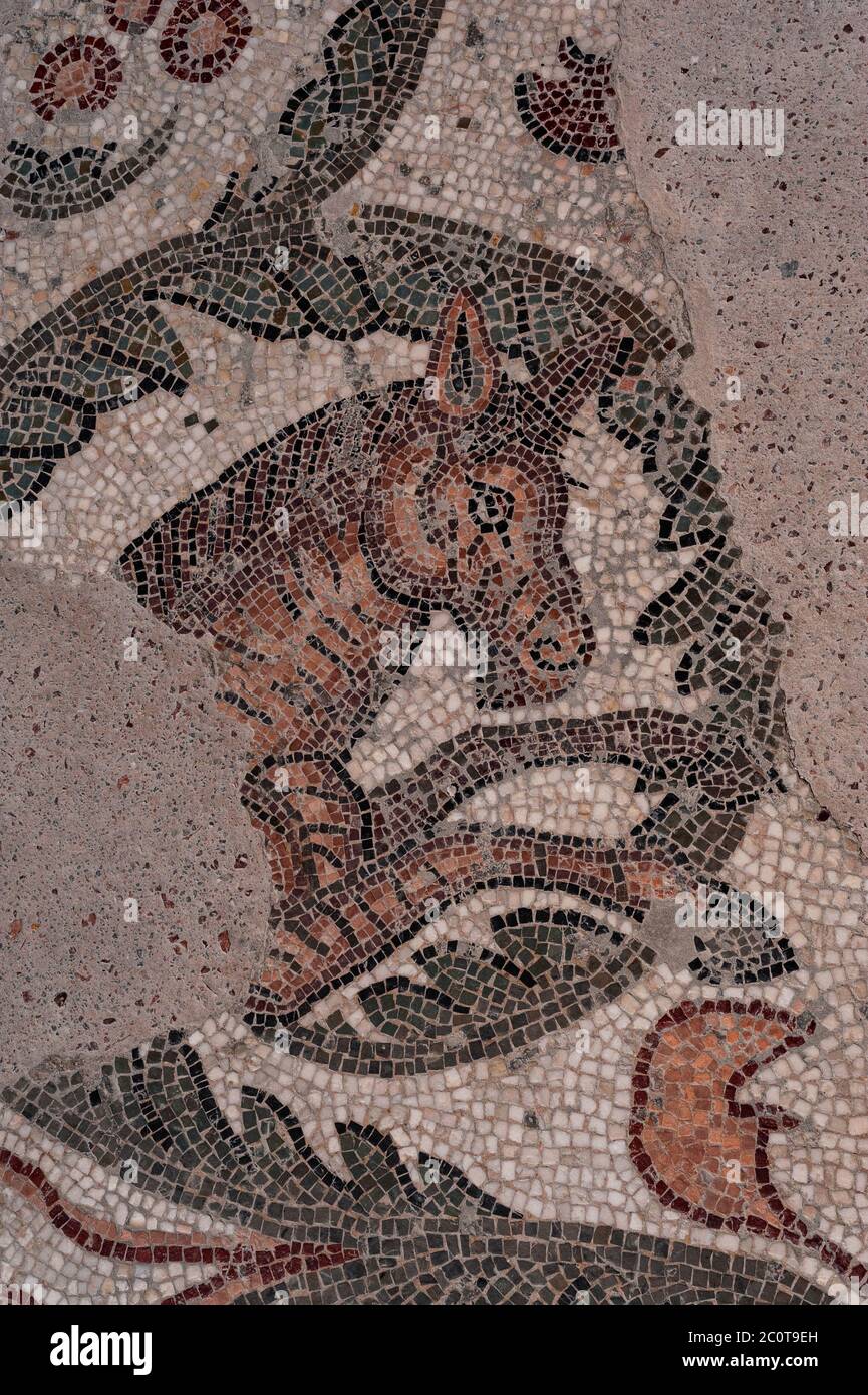 Fragmentary depiction of a horse, or perhaps a zebra. Mosaic at Villa ...
