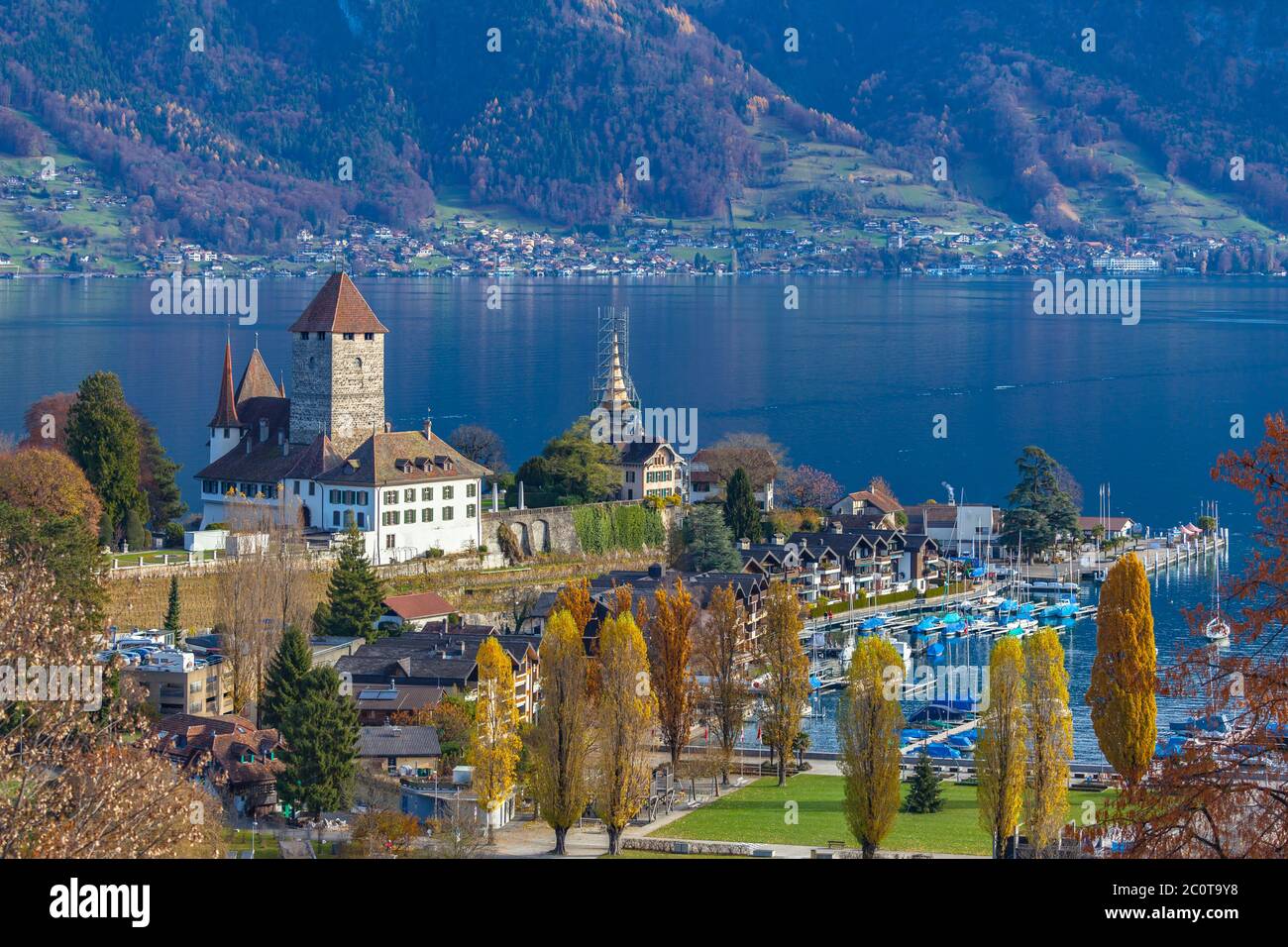 Aerial view of Spiez town in autumn with the castle on the side of the ...