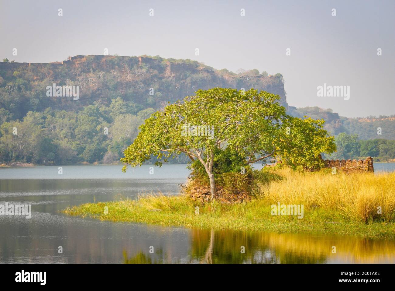 Green natural landscape of Ranthambore Tiger Reserve located in Sawai ...
