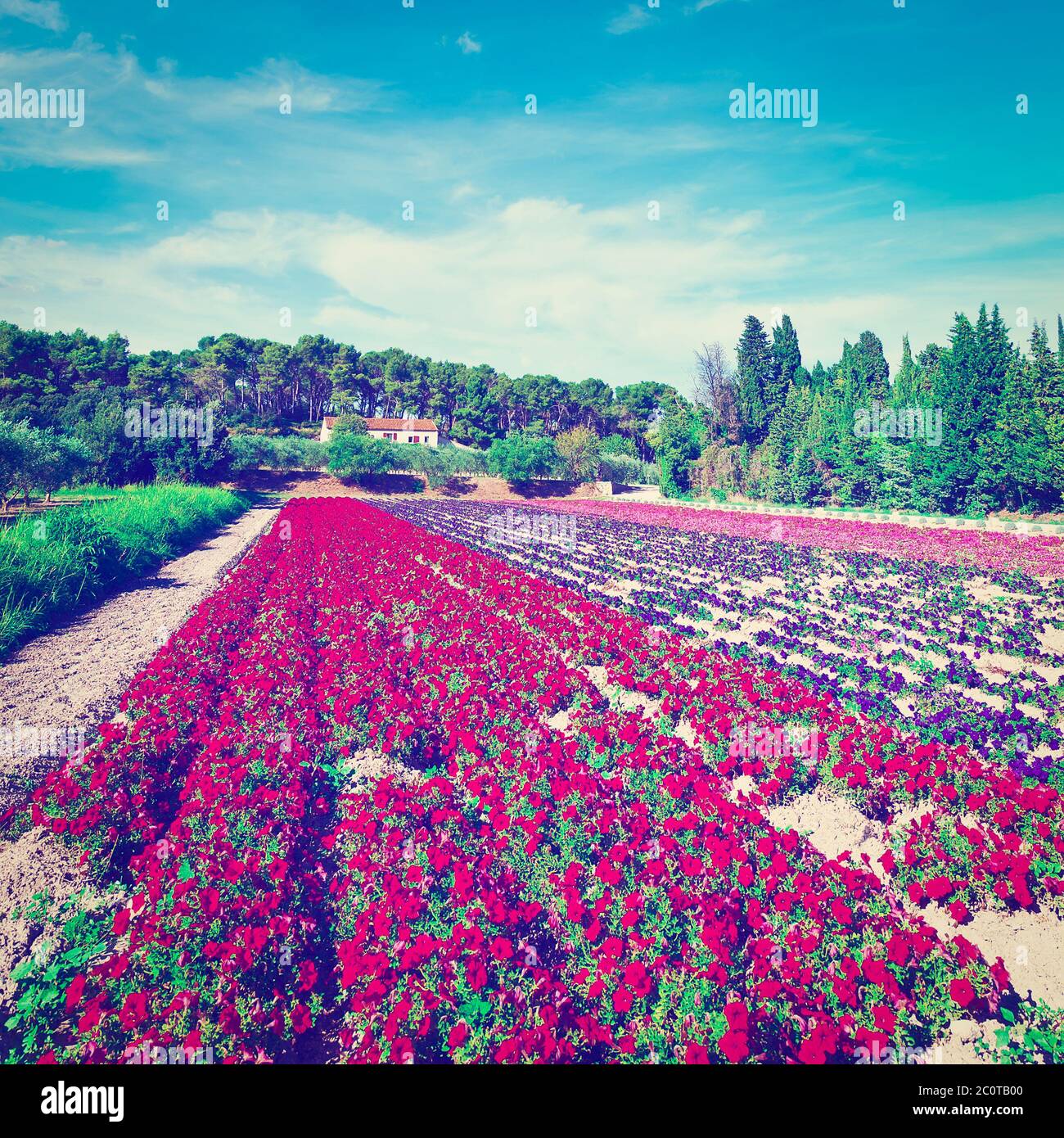 Filter beds hi-res stock photography and images - Alamy