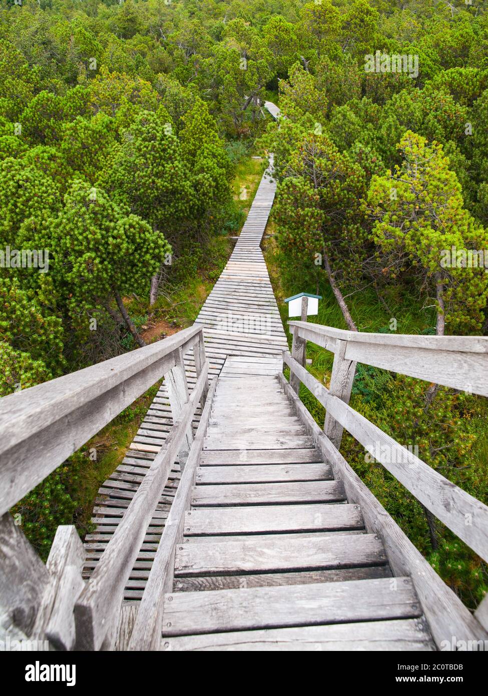 Wooden path with steps in moor area, Georgenfelder Hochmoor, Germany ...