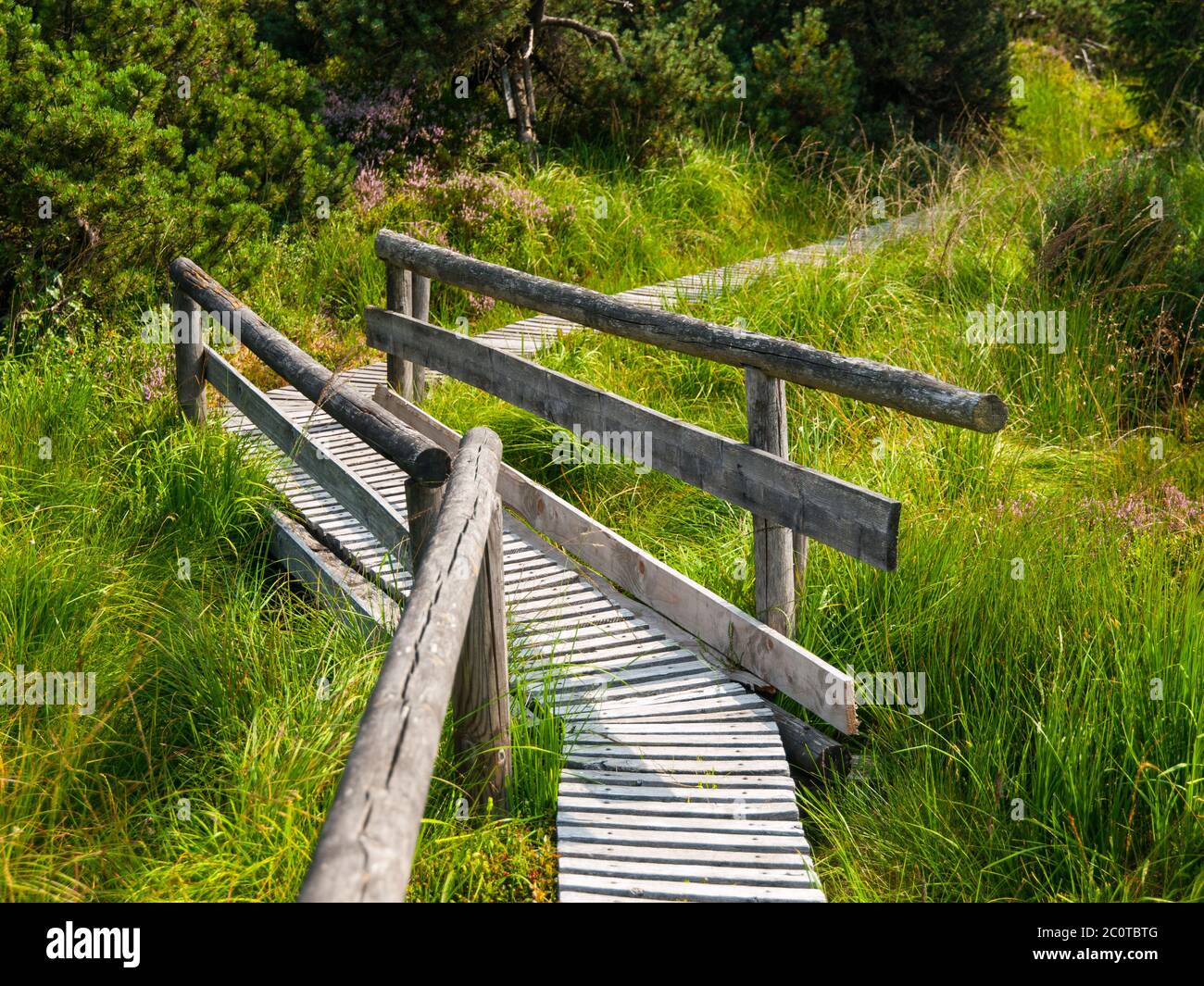 Wooden path in moor area, Georgenfelder Hochmoor, Germany Stock Photo ...