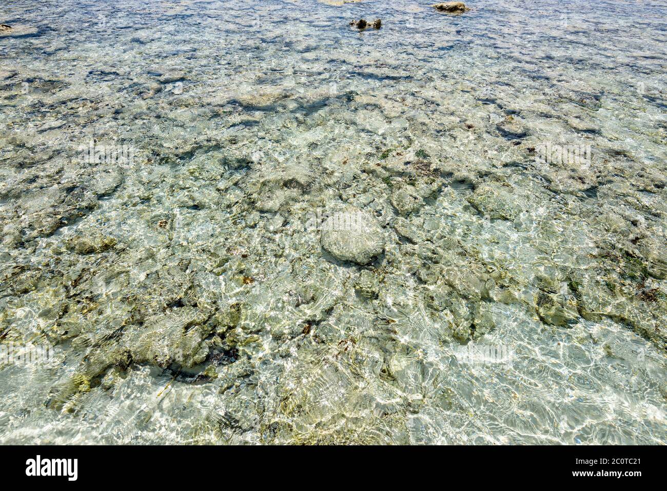 Shore coral reefs Stock Photo - Alamy