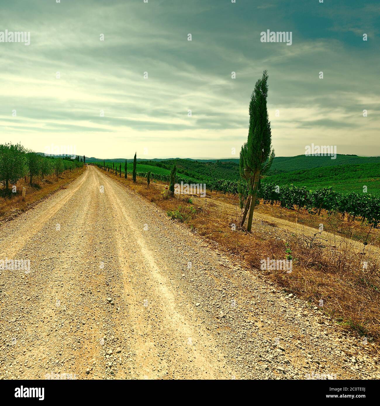 Dirt road pattern hi-res stock photography and images - Alamy