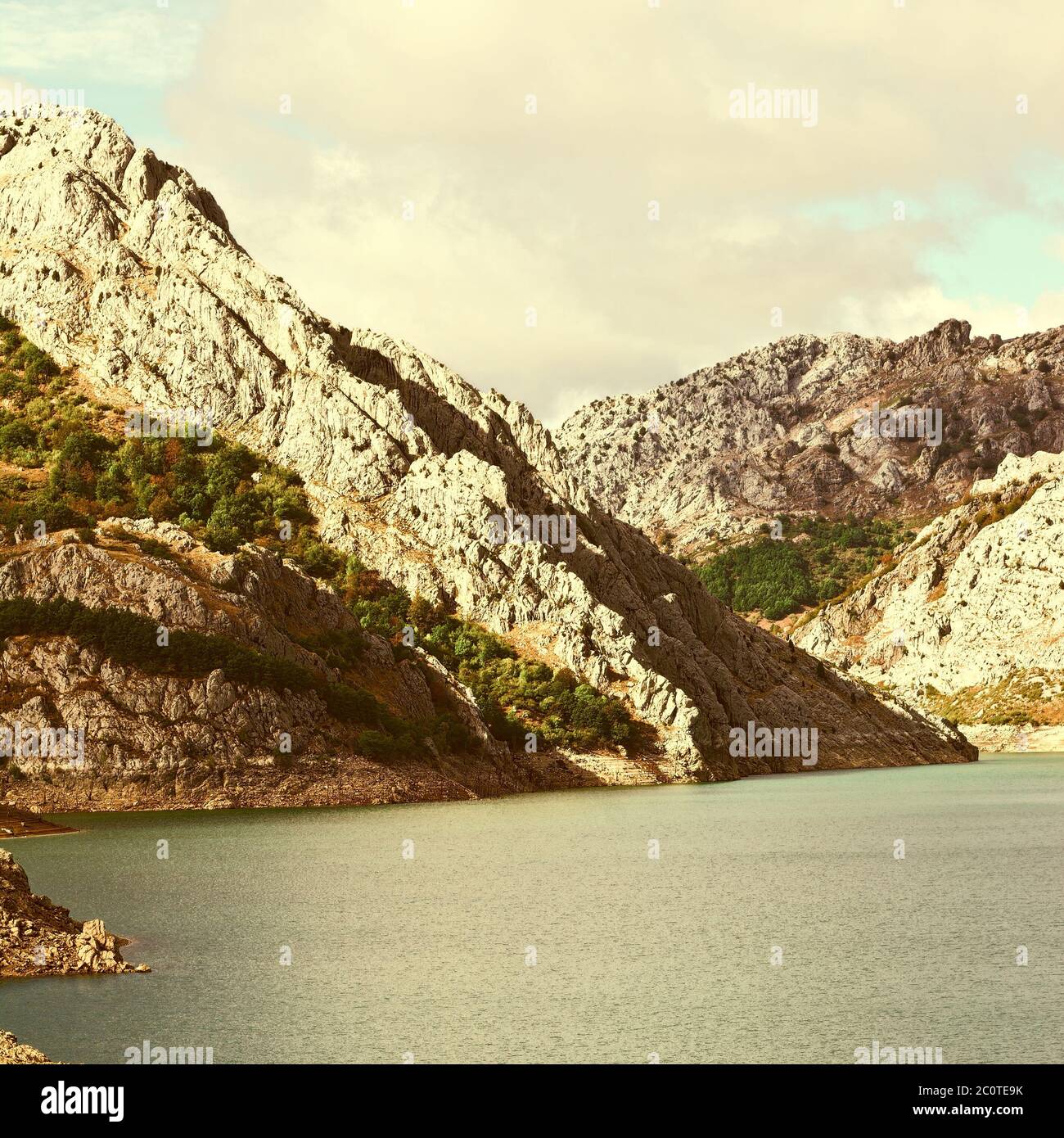 Riverside environment hi-res stock photography and images - Alamy