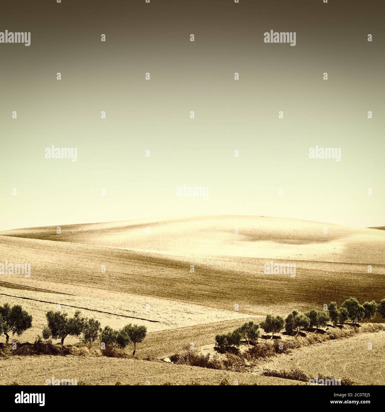 Sloping arable land hi-res stock photography and images - Alamy