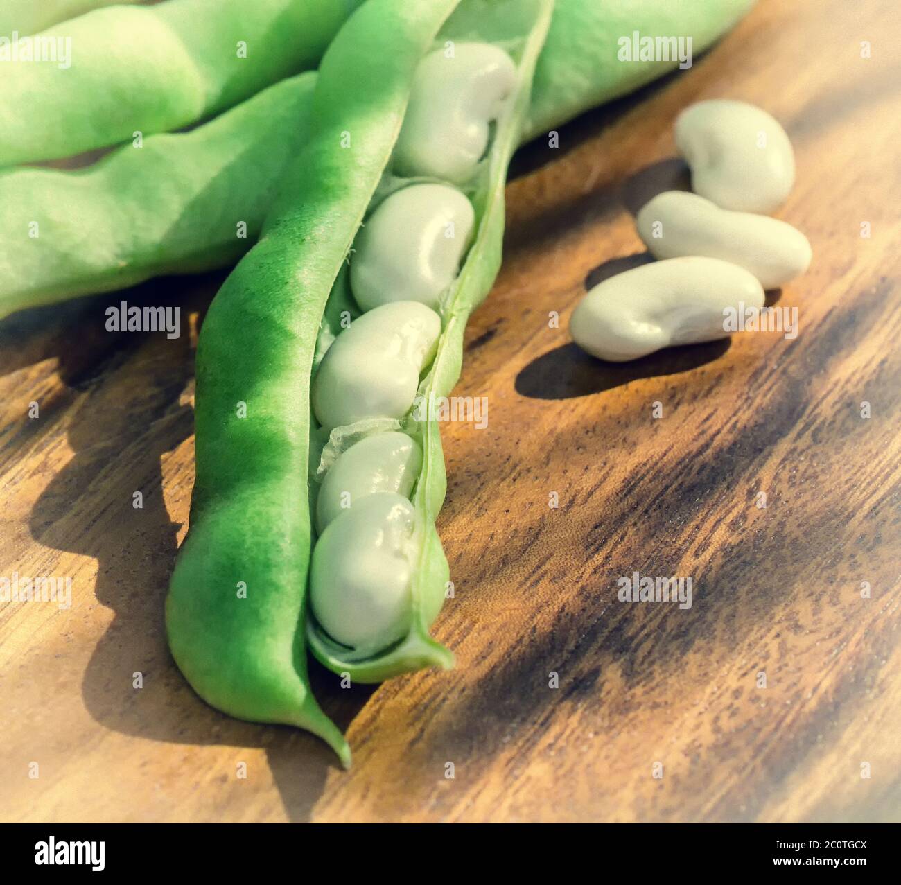 White beans, pod Stock Photo - Alamy