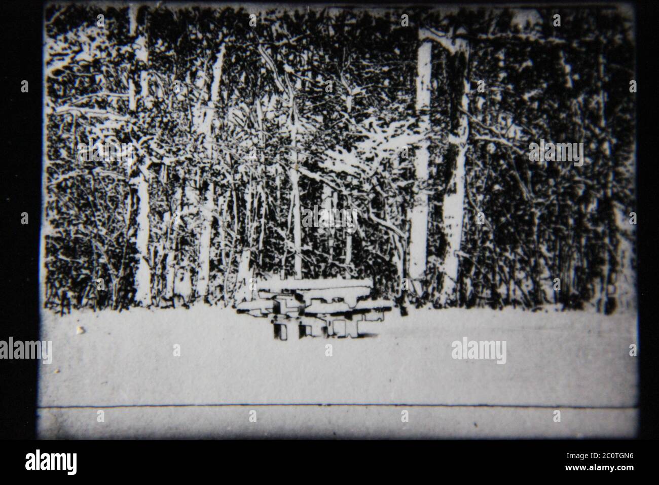 Fine 1970s vintage black and white photography of the beauty of nature ...