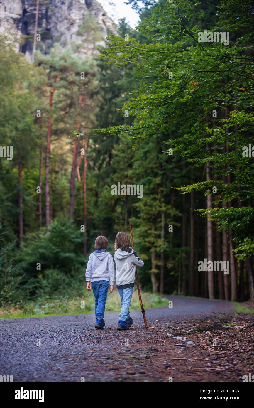 Children, brothers, hiking in forest on autumn day, walking and ...