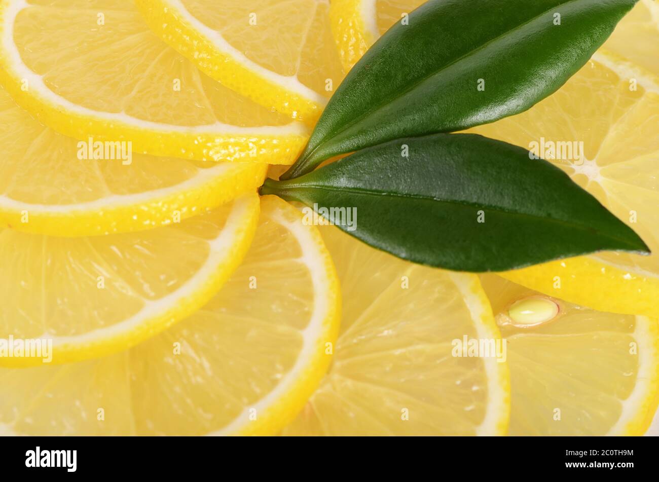 The fresh lemon a background closeup Stock Photo - Alamy