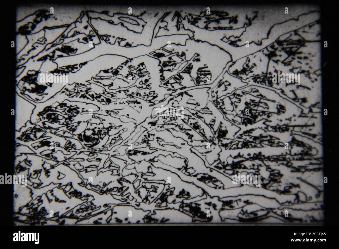 Fine 1970s vintage black and white photography of the beauty of nature ...