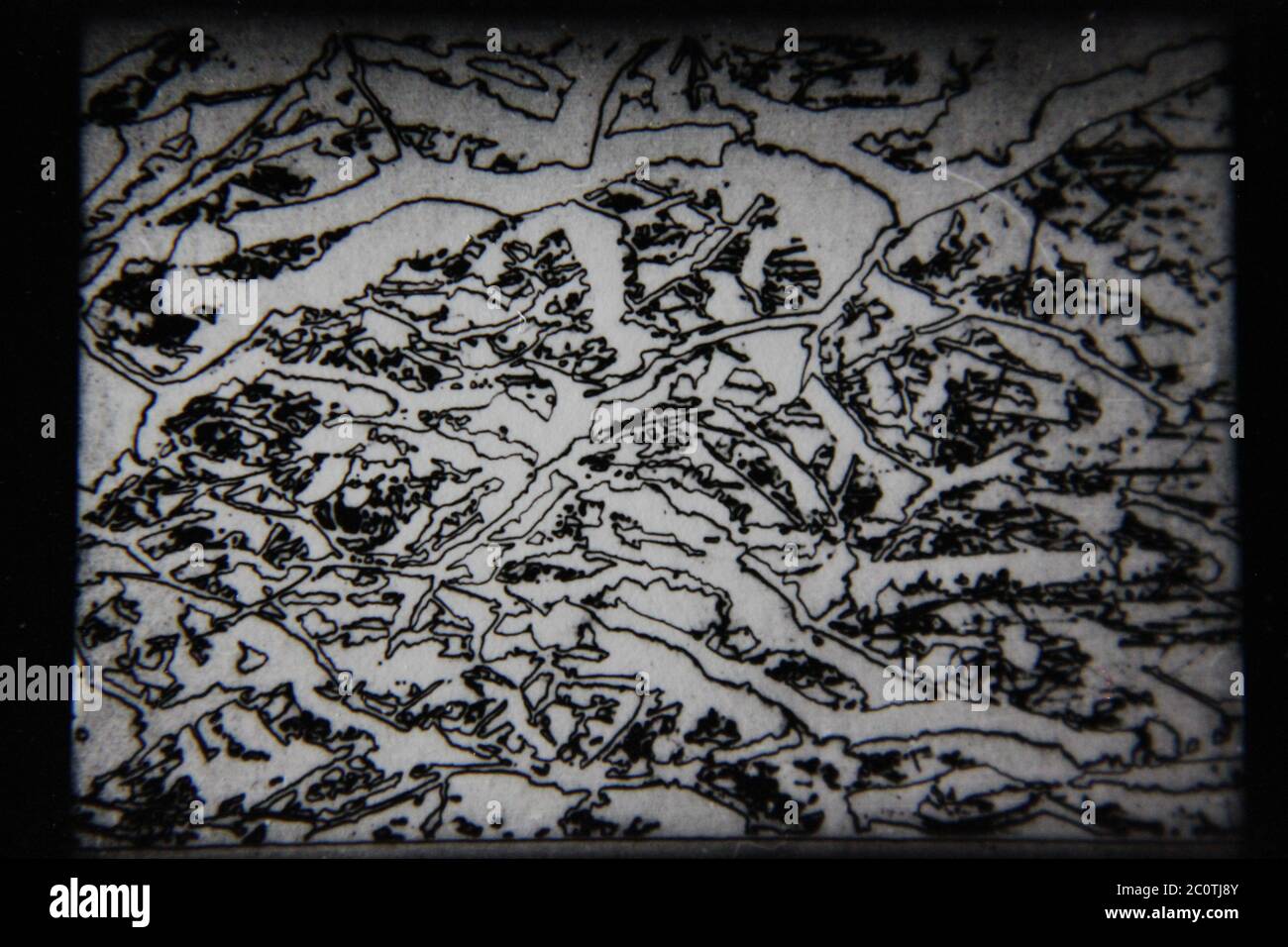 Fine 1970s vintage black and white photography of the beauty of nature ...