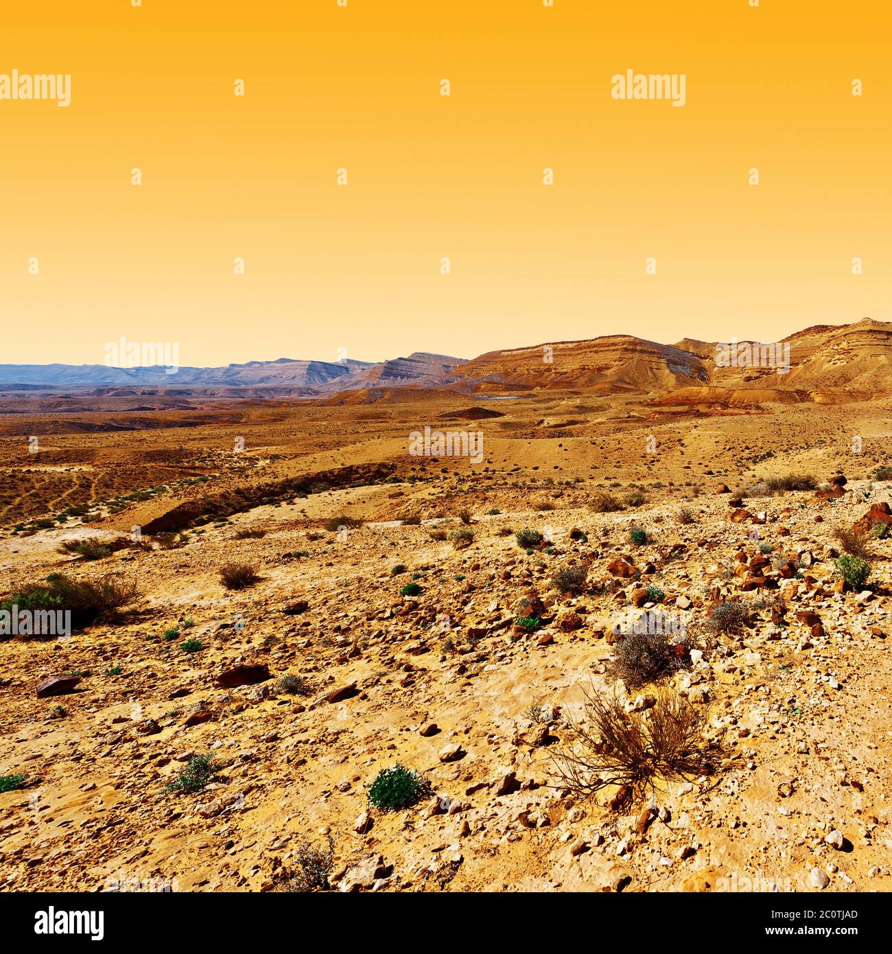 Hi desert hi-res stock photography and images - Alamy