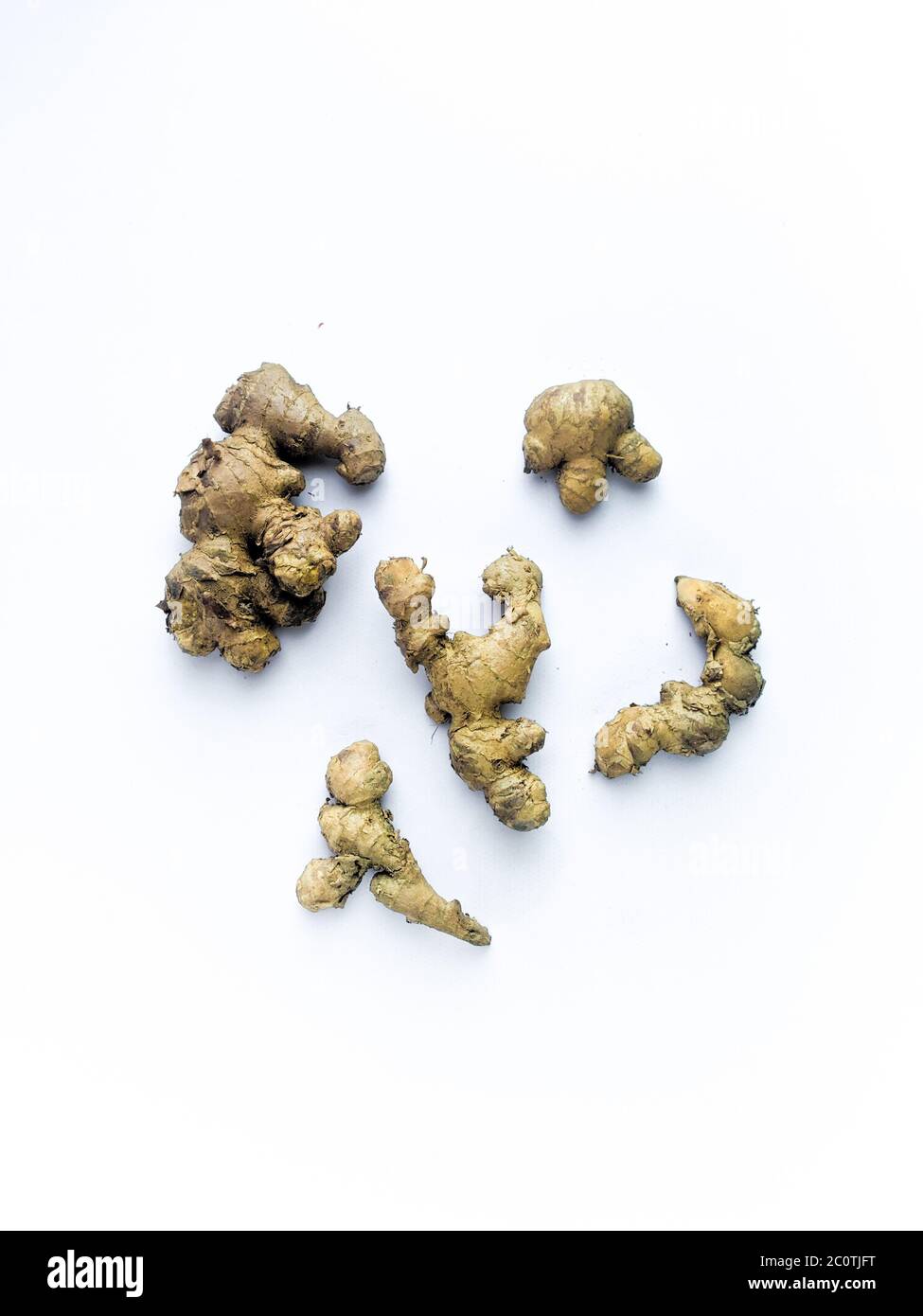 ginger isolated images on white background Stock Photo - Alamy