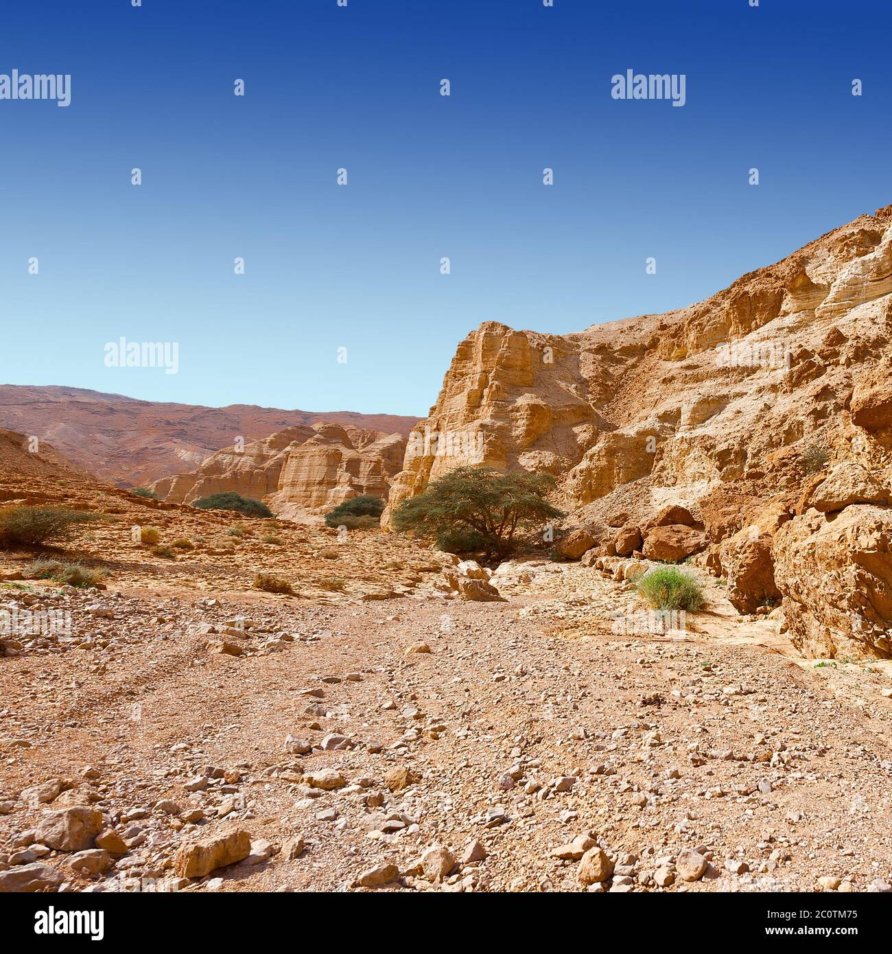 Desert in Israel Stock Photo - Alamy