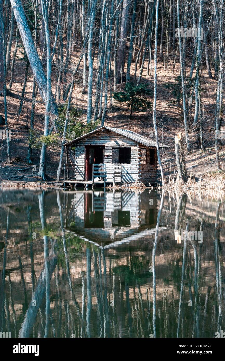 Unity woods hi-res stock photography and images - Alamy