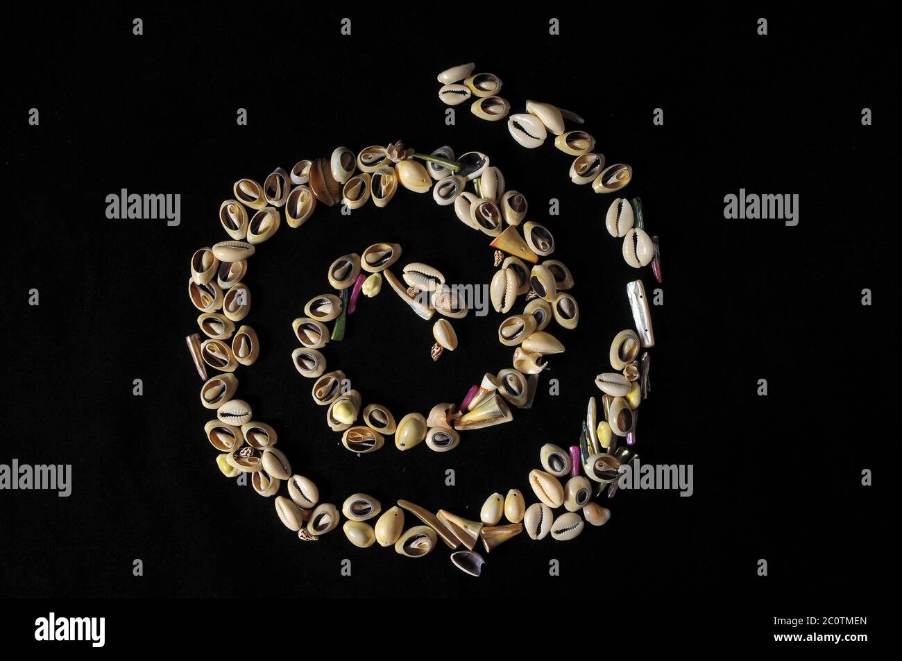 Clam shell inside hi-res stock photography and images - Alamy