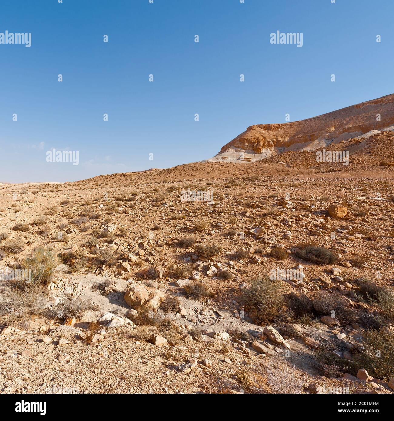 Desert in Israel Stock Photo - Alamy