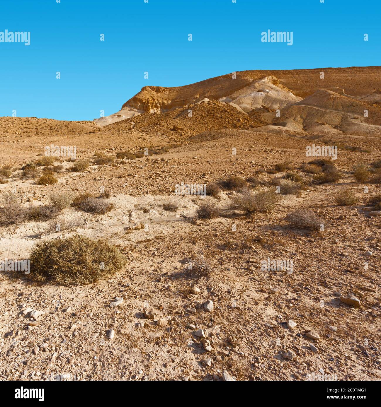 Desert in Israel Stock Photo - Alamy