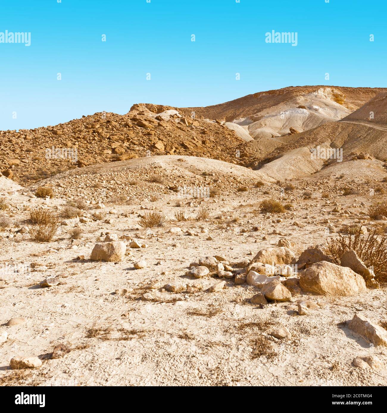 Desert in Israel Stock Photo - Alamy