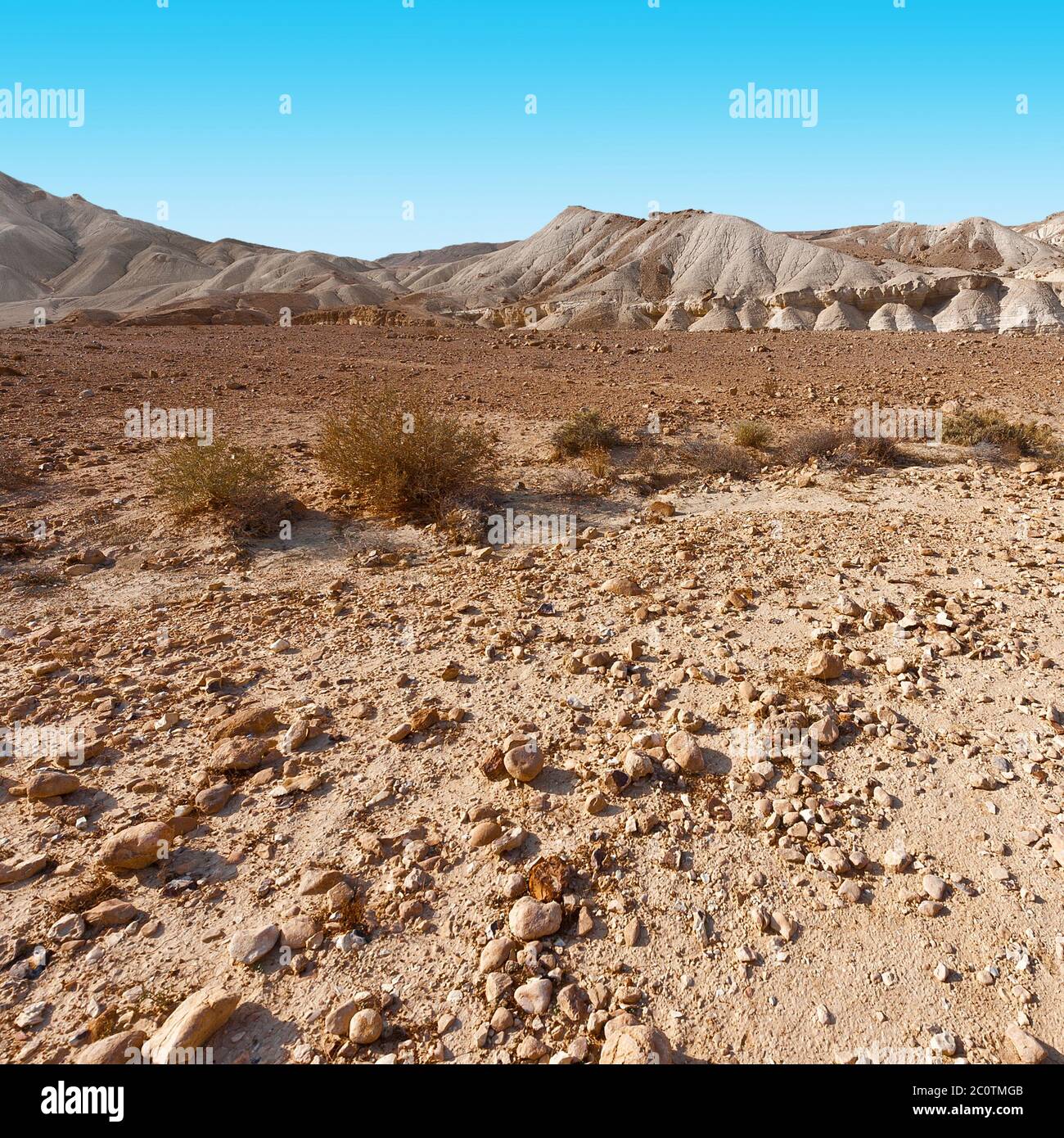 Desert in Israel Stock Photo - Alamy