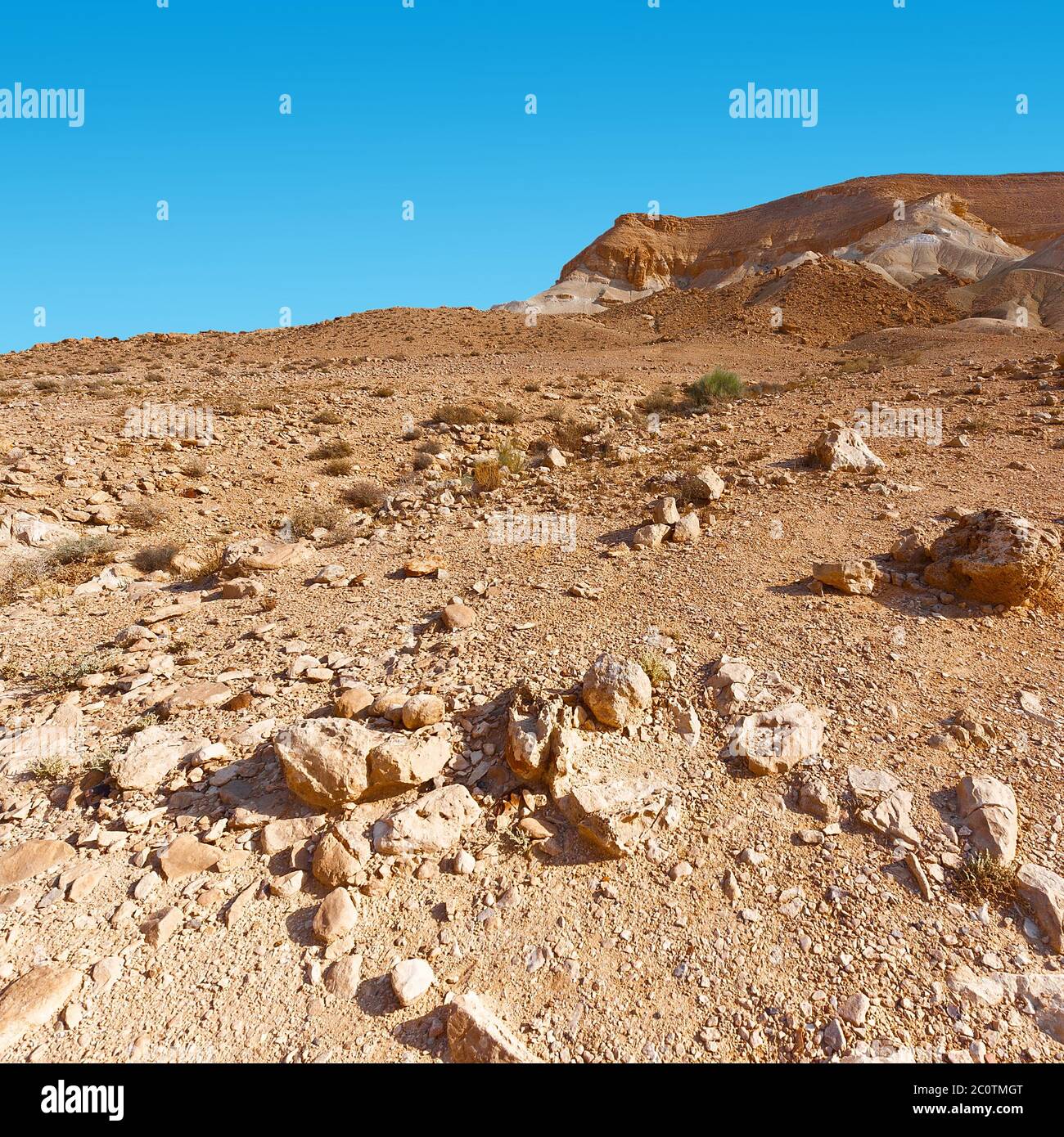 Desert in Israel Stock Photo - Alamy