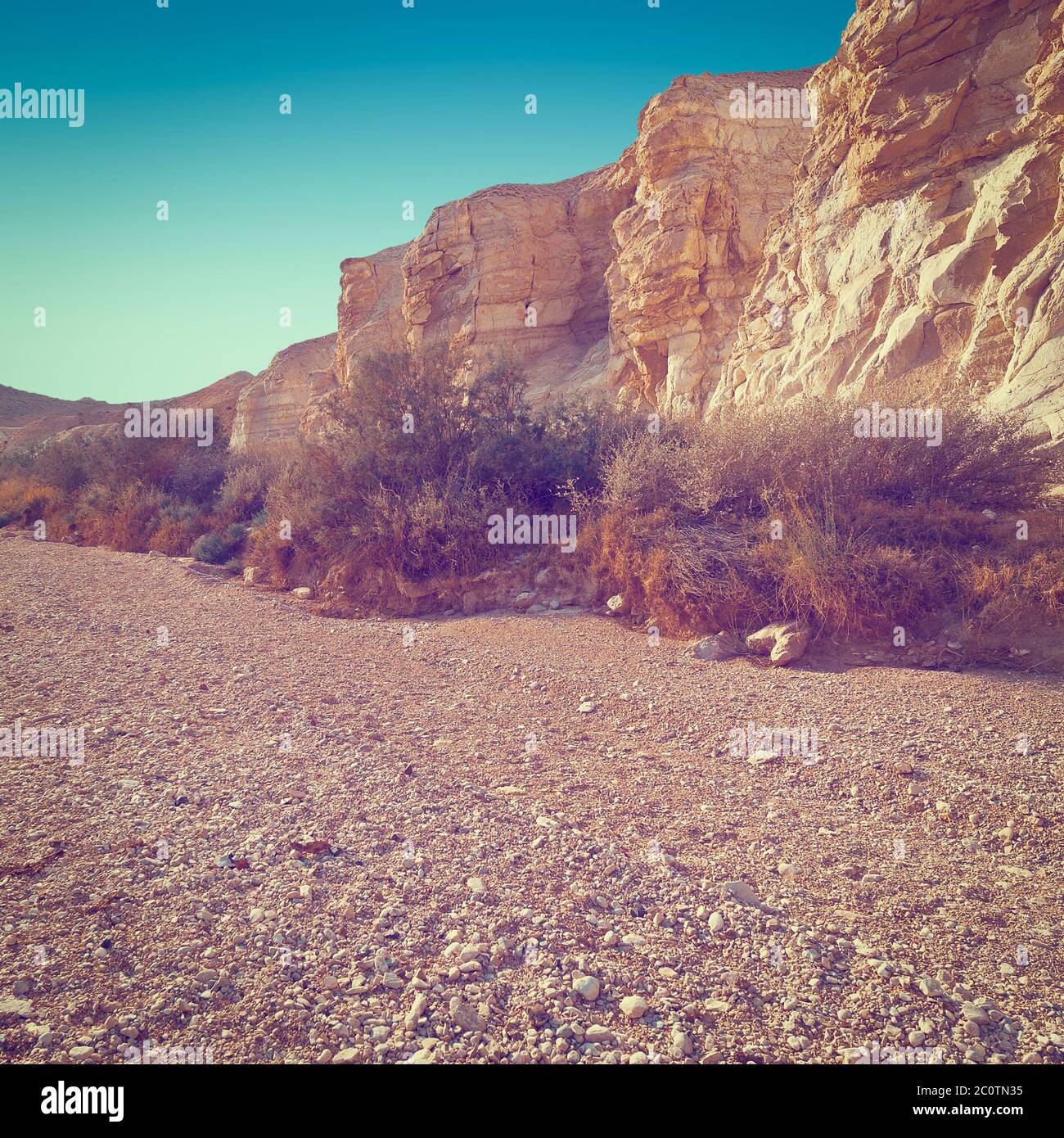 Desert in Israel Stock Photo - Alamy