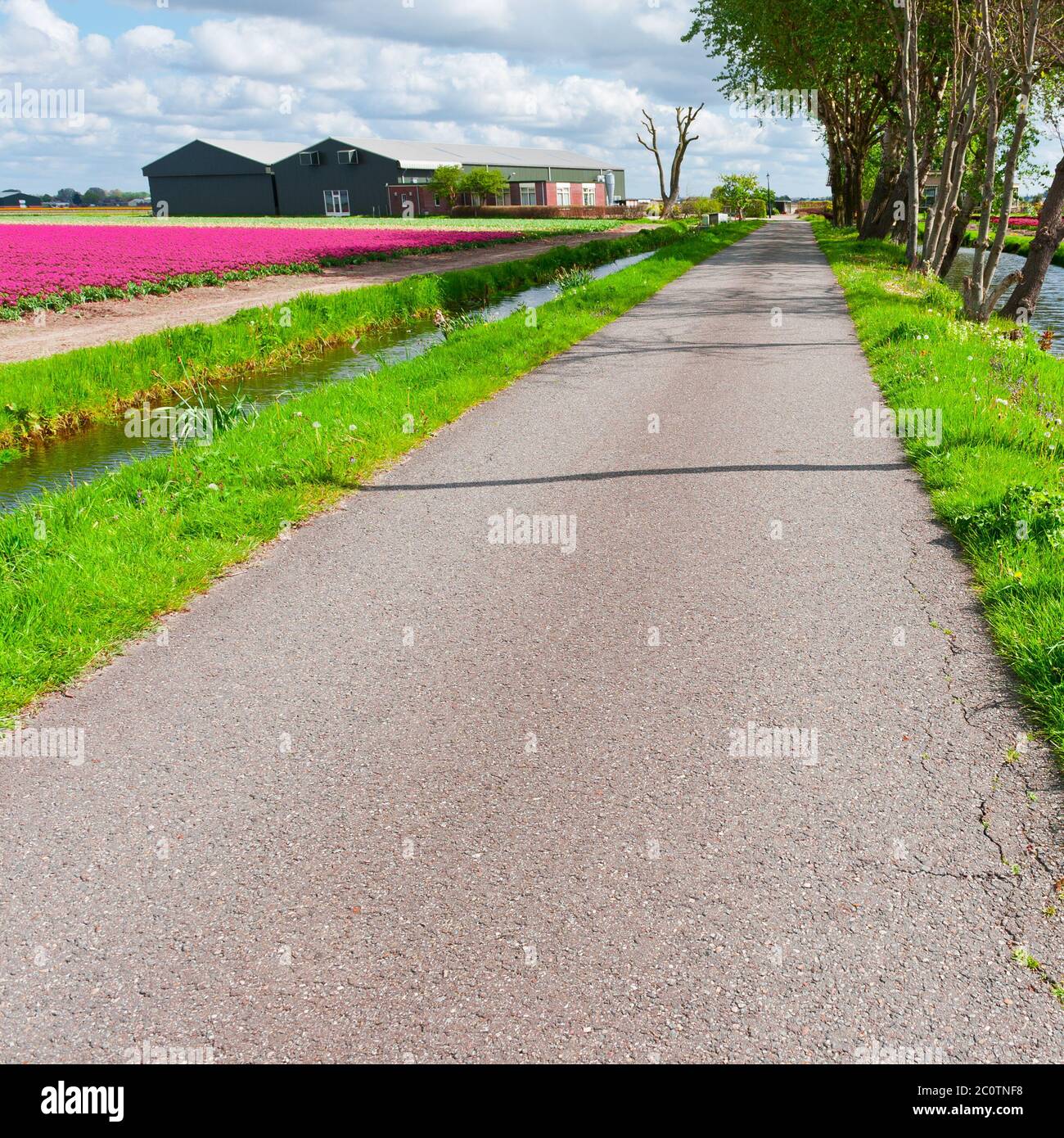 Field asphalt road path hi-res stock photography and images - Alamy