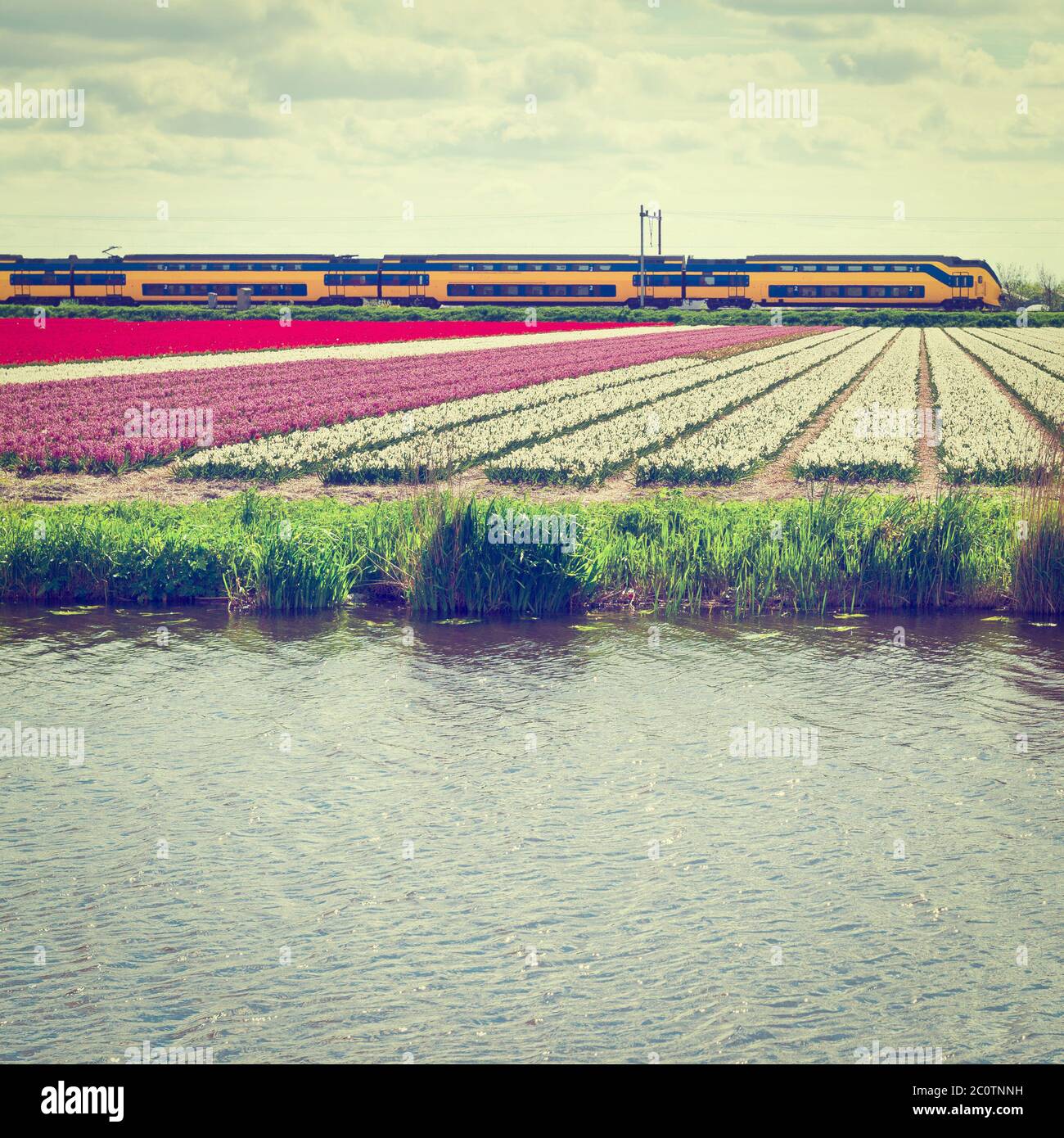 Netherlands tulip train hi-res stock photography and images - Alamy