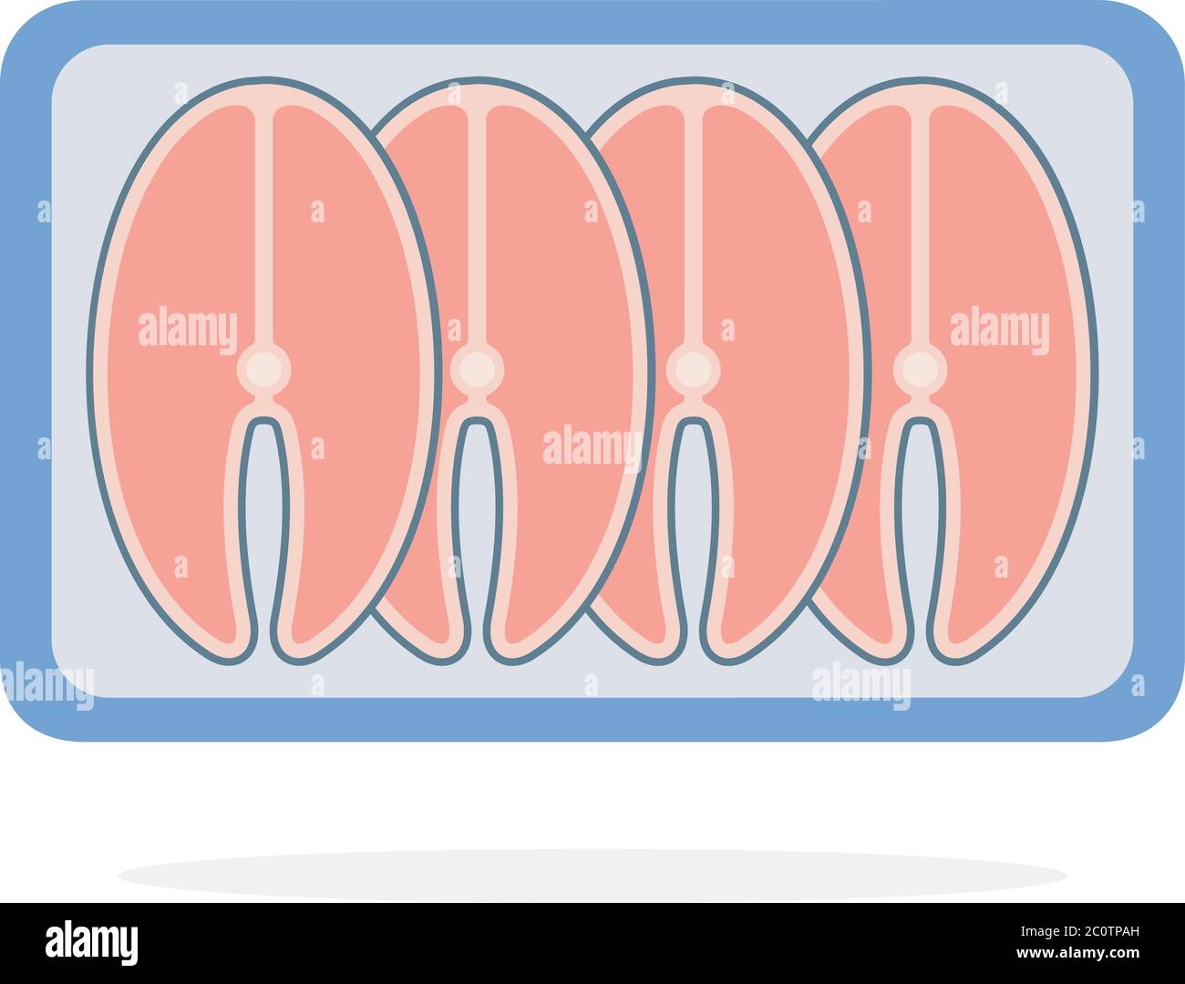 Raw fish salmon steaks Stock Vector Images - Alamy