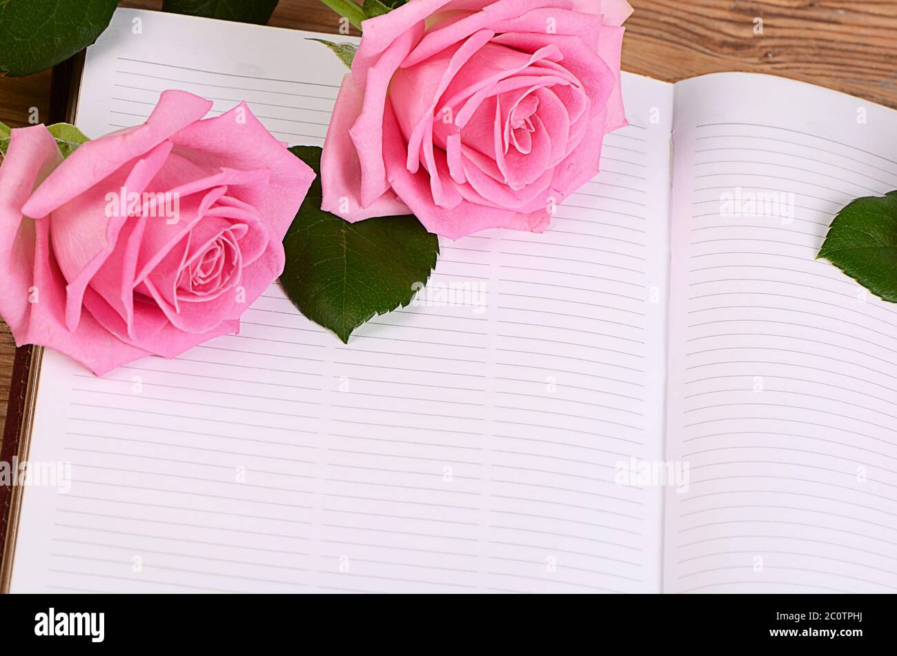The rose on the book Stock Photo - Alamy