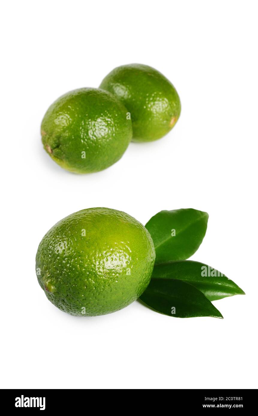The fresh lime isolated on a white background Stock Photo - Alamy