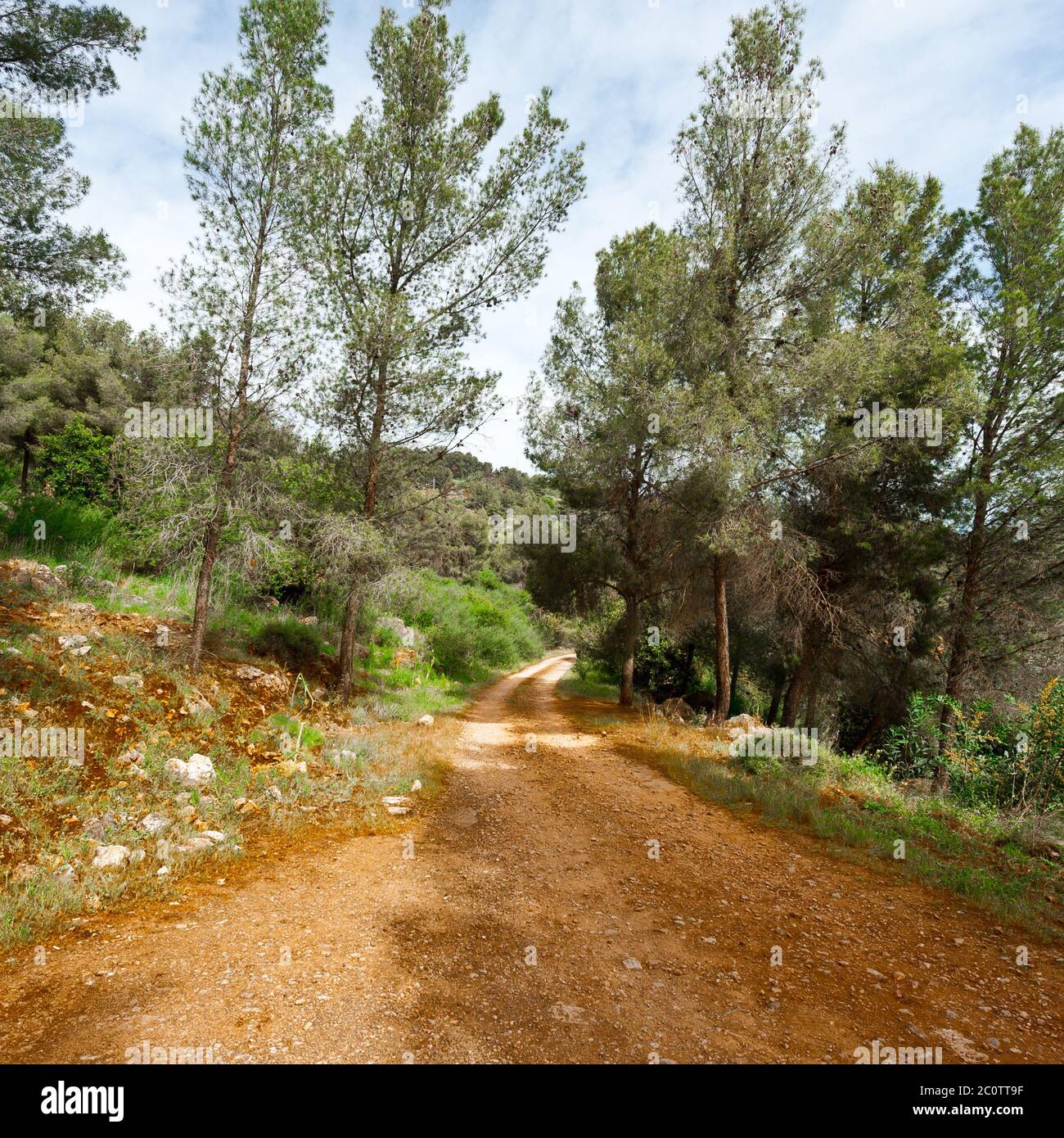 To the holy forest square hi-res stock photography and images - Alamy