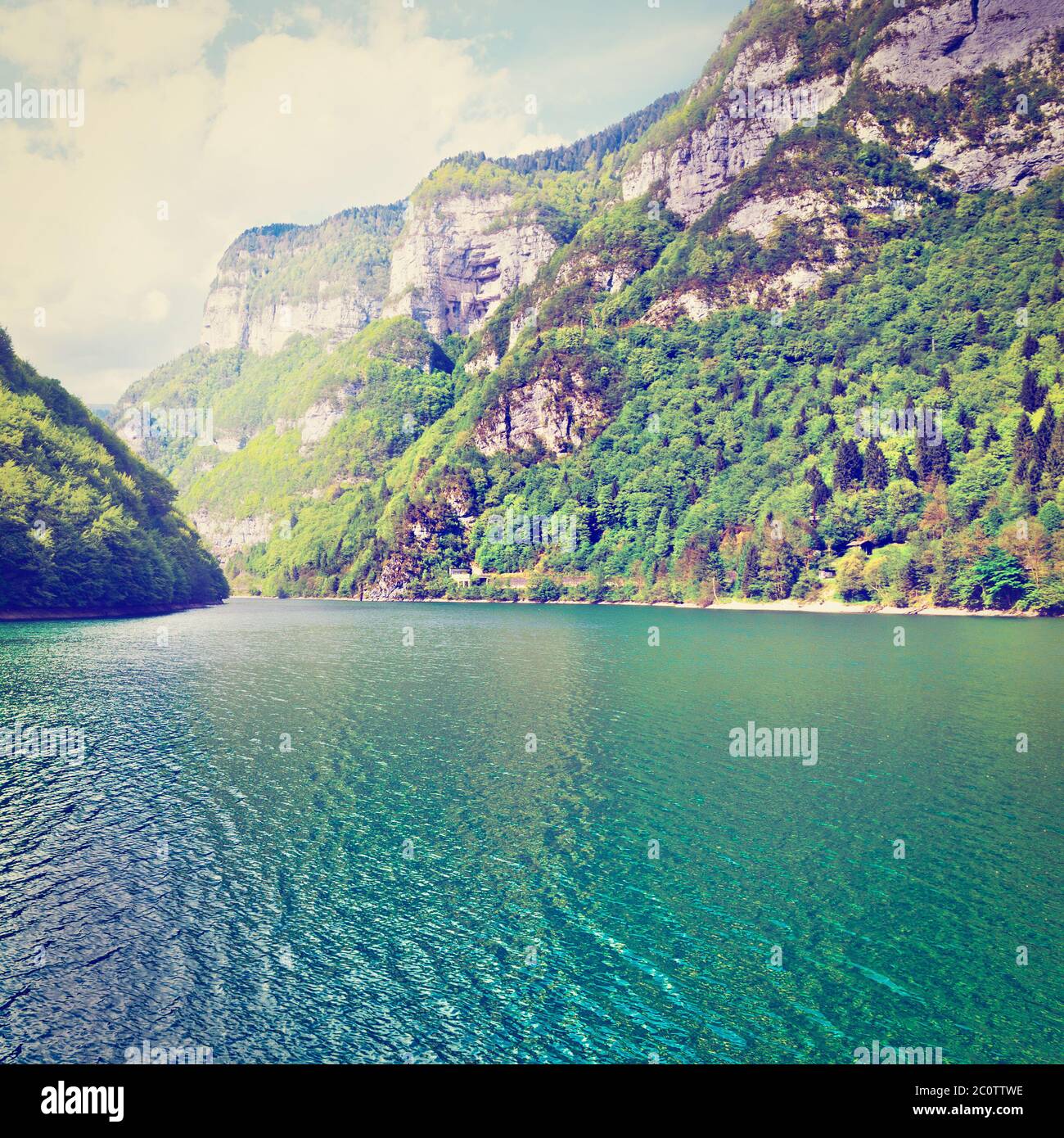 Green water can hi-res stock photography and images - Alamy