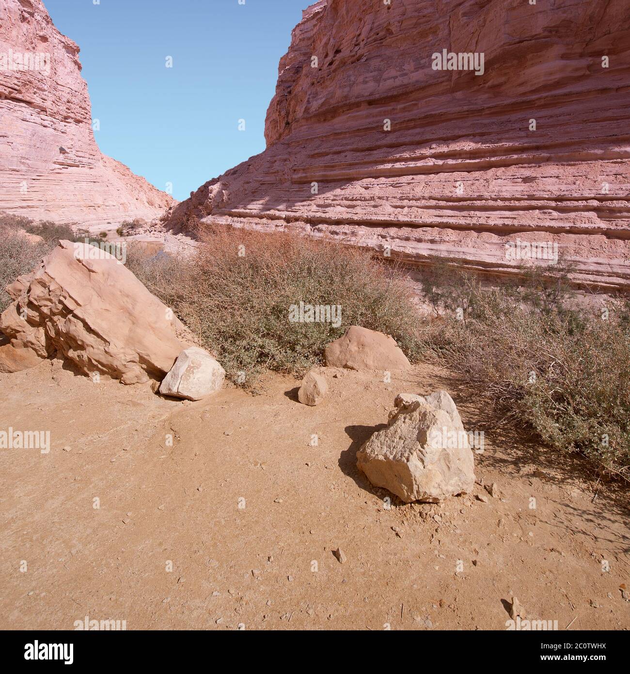 Canyon in Desert Stock Photo - Alamy