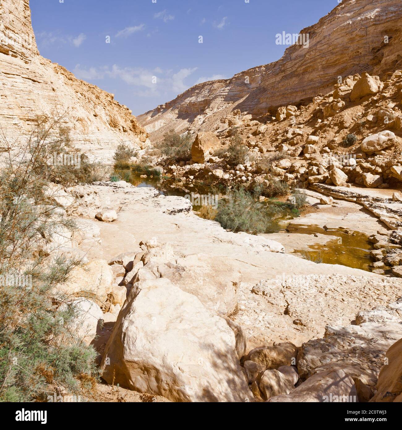 Canyon in Desert Stock Photo - Alamy